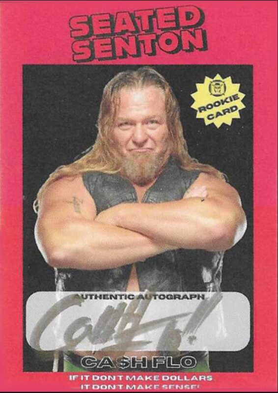 Before they were on Netflix: The trading cards of OVW's Wrestlers ...