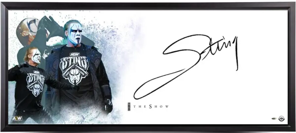 Sting headlines Upper Deck authenticated AEW memorabilia - Slam Wrestling